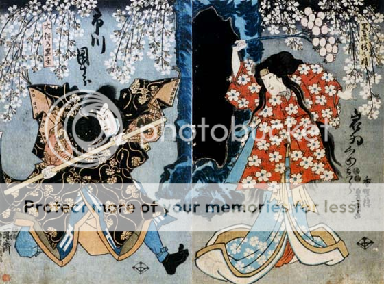 Photoset Review; Isshi's Final Kagrra, Pamphlet; Yoshitoshi; Komachi ...